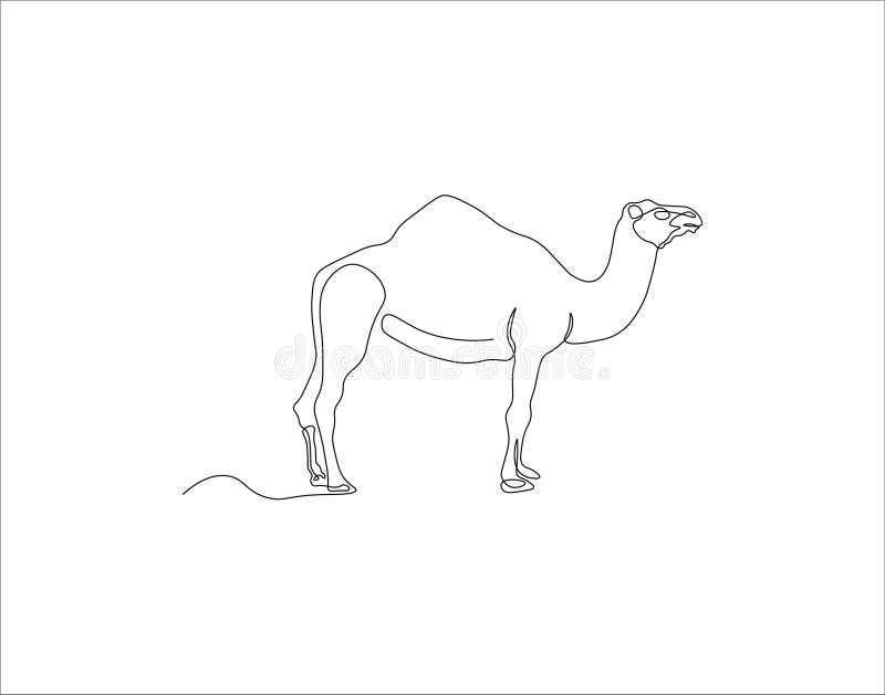 Continuous Line Drawing of Camel. One Line of Arabian Camel. Camel in ...