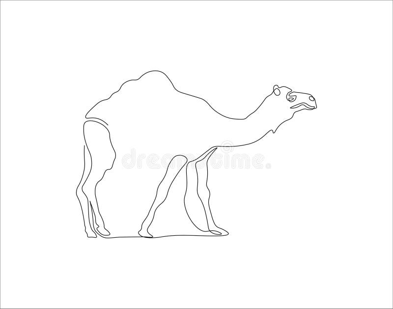 Continuous Line Drawing of Camel. One Line of Arabian Camel. Camel in ...