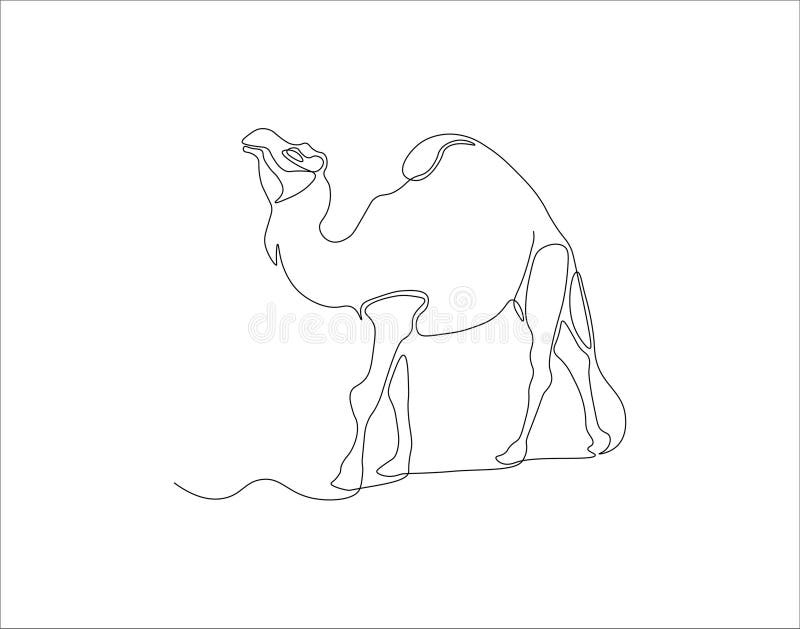 Continuous Line Drawing of Camel. One Line of Arabian Camel. Camel in ...