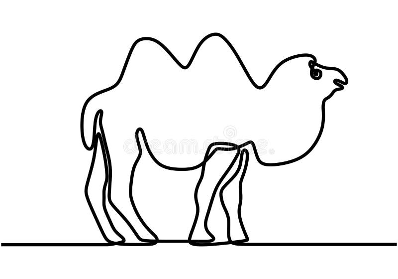Continuous Line Drawing Camel. Vector Illustration with Minimalist ...