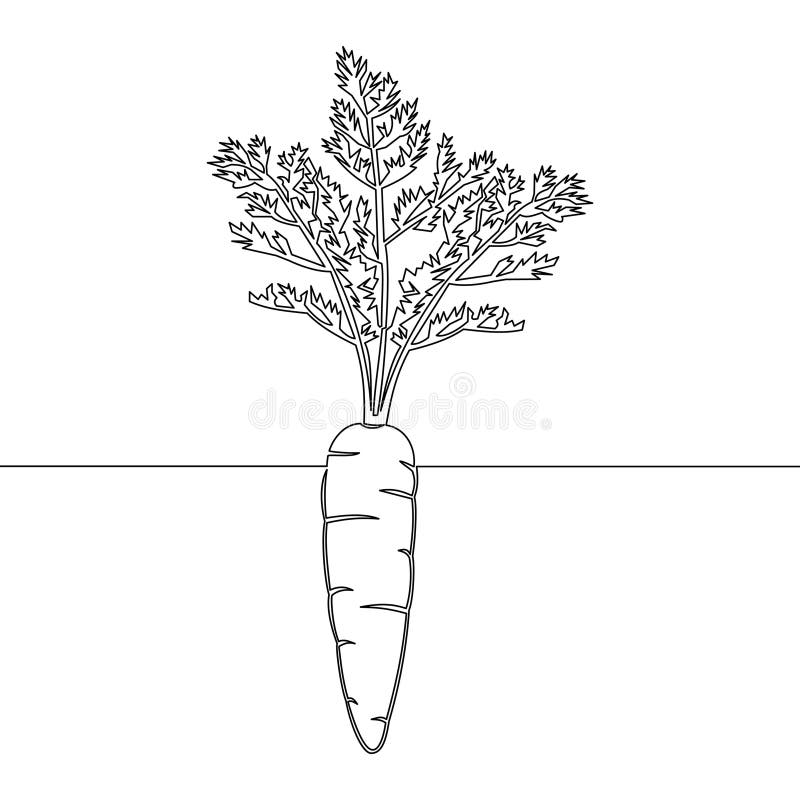 Continuous Line Drawing Carrot Vegetable Growing Carrot Plant Icon ...