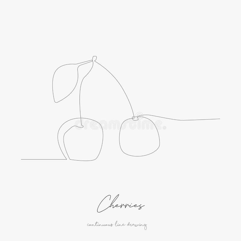 Continuous Line Drawing. Cherries. Simple Vector Illustration. Cherries ...