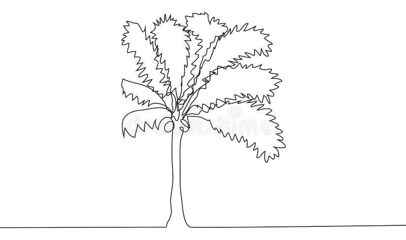 Continuous Line Drawing of Coconut Trees, Nature Concept, Summer Stock ...
