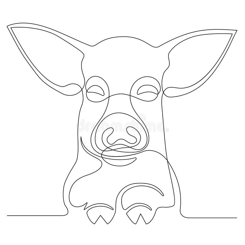 Simple Pig Face Drawing