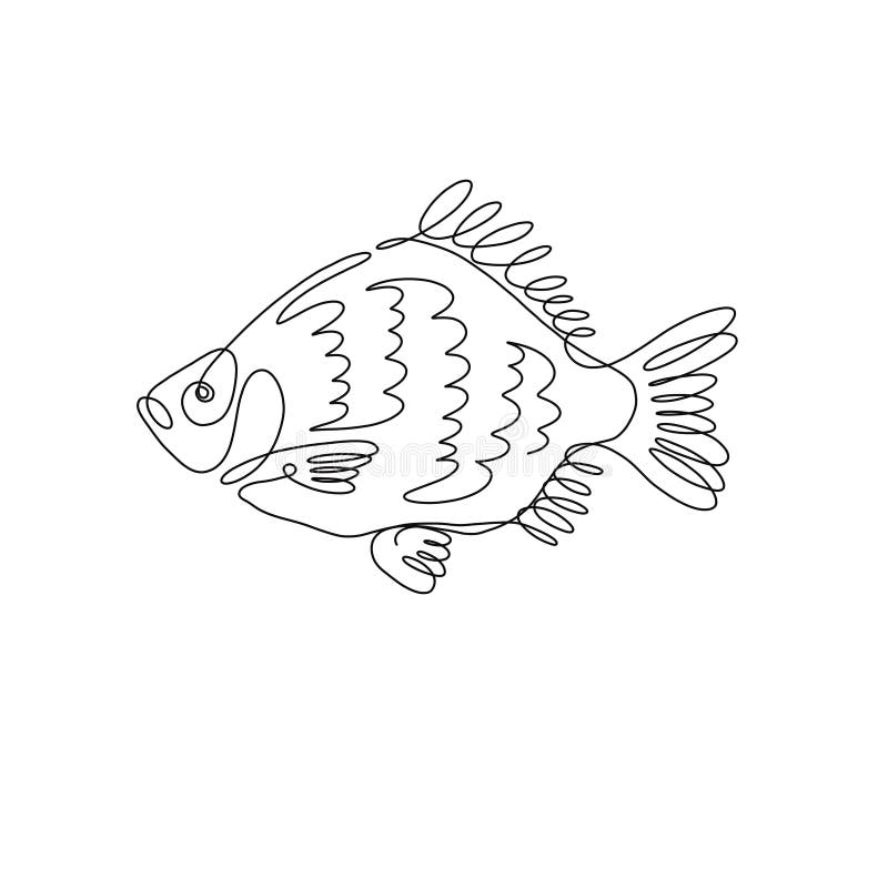 Continuous on-line Drawing of Fish Abstraction Carp Stock Illustration ...