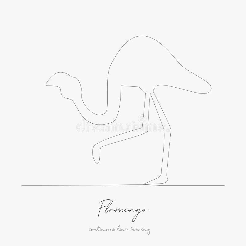 Continuous Line Drawing. Flamingo. Simple Vector Illustration. Flamingo ...
