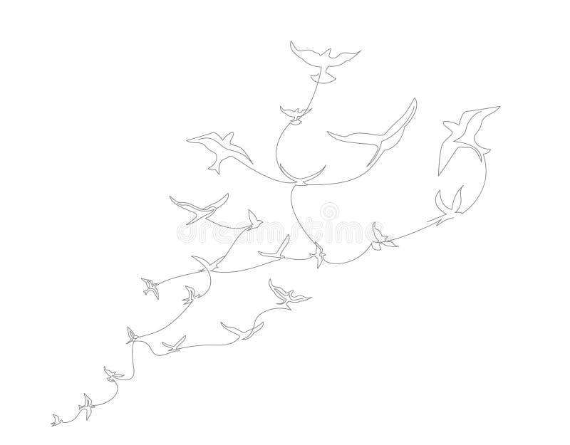 Birds Flight Continuous Line Drawing Stock Illustrations 114 Birds