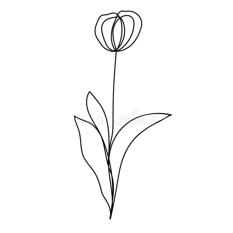 Continuous Line Violet Floral Drawing, Viola February Birthflower ...