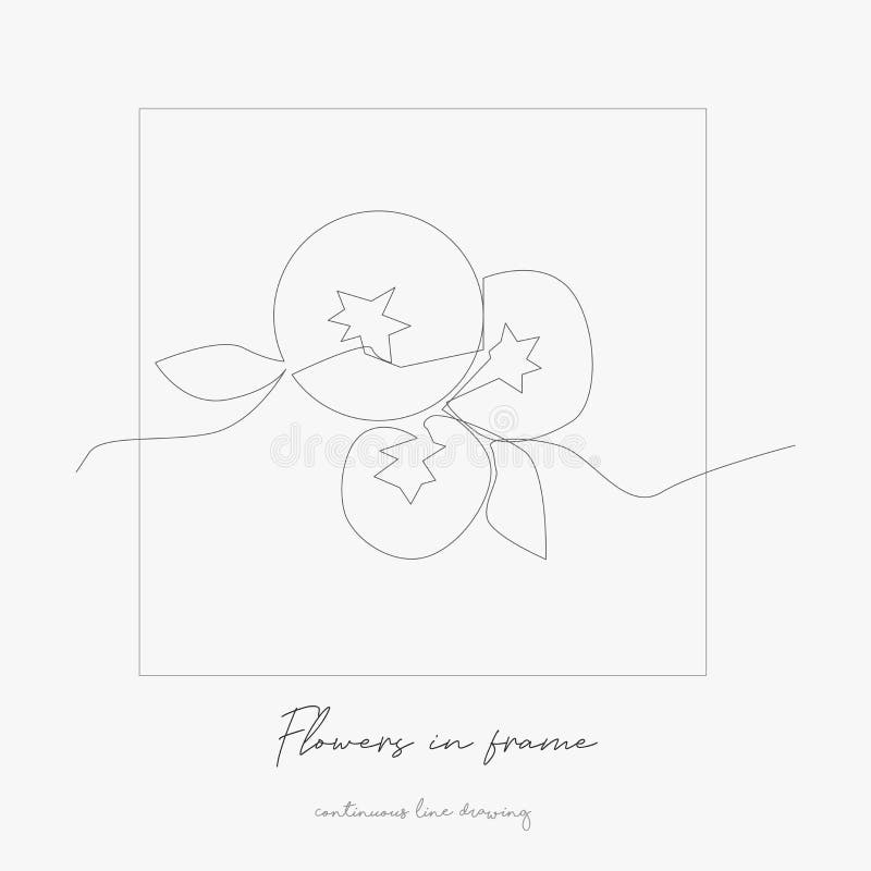 Continuous Line Drawing. Flowers in Frame. Simple Vector Illustration ...