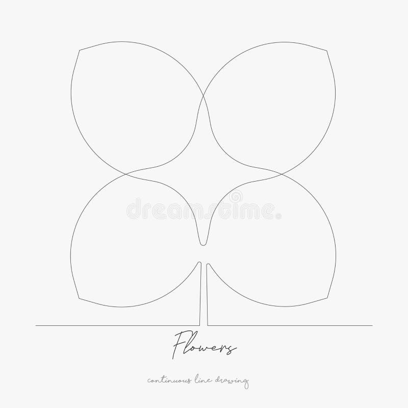 Continuous Line Drawing. Flowers. Simple Vector Illustration. Flowers ...