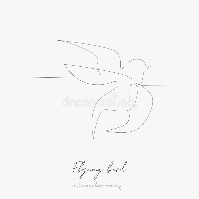 Continuous Line Drawing. Flying Bird. Simple Vector Illustration ...