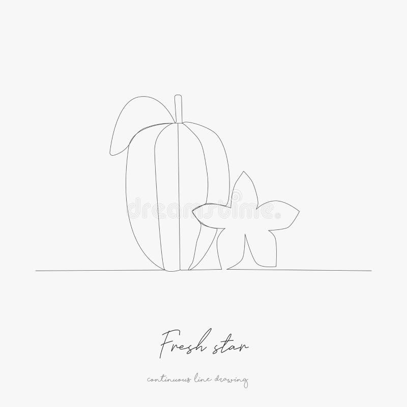 Continuous Line Drawing. Fresh Star. Simple Vector Illustration. Fresh ...