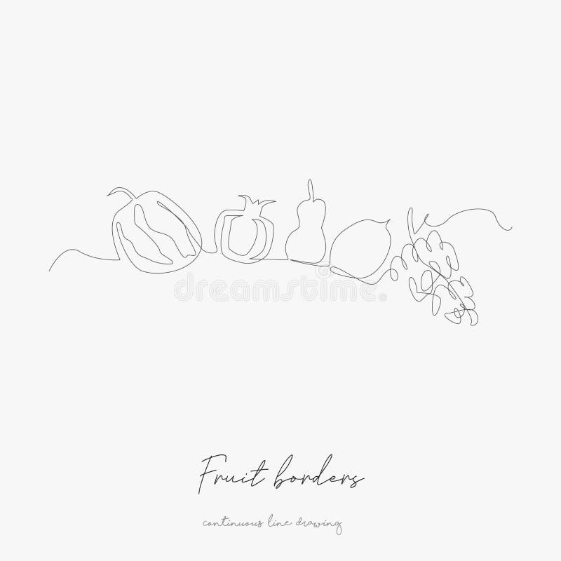 Continuous Line Drawing. Fruit Borders. Simple Vector Illustration ...