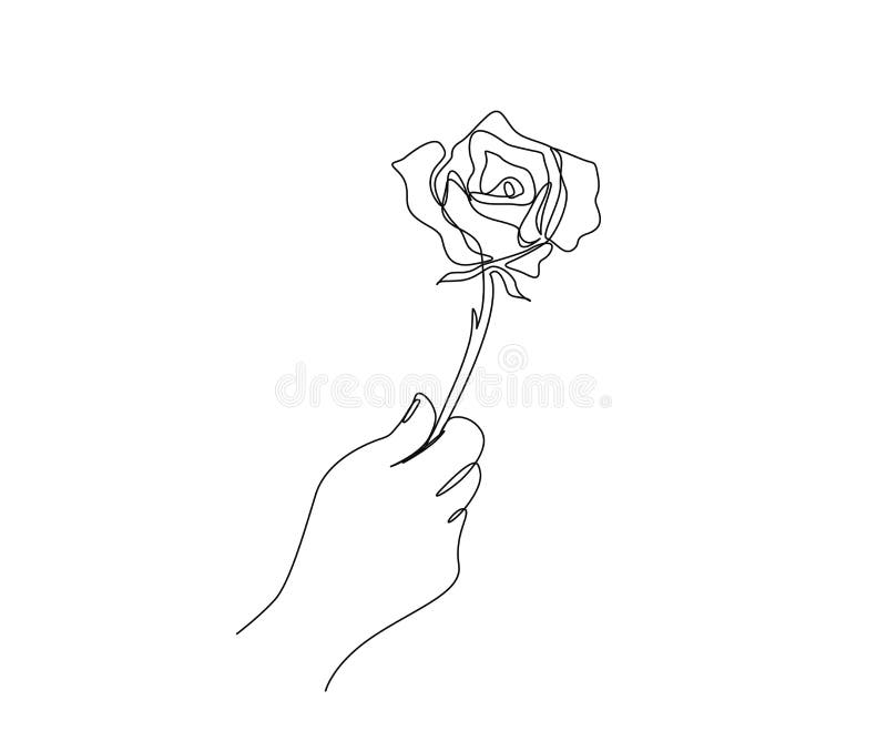 Continuous Line Drawing of Hand Holding Rose. Beautiful Rose Flower ...