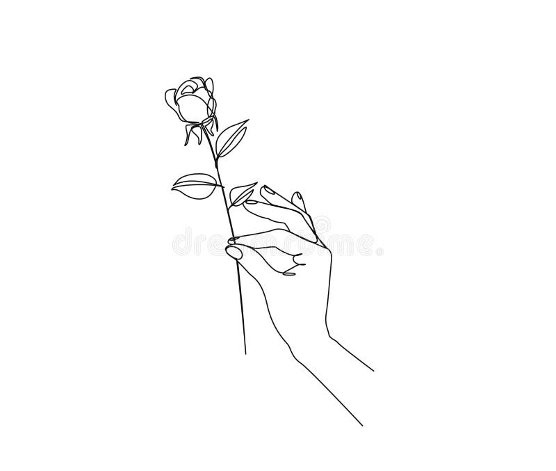 Continuous Line Drawing of Hand Holding Rose. Rose Flower Simple Line ...