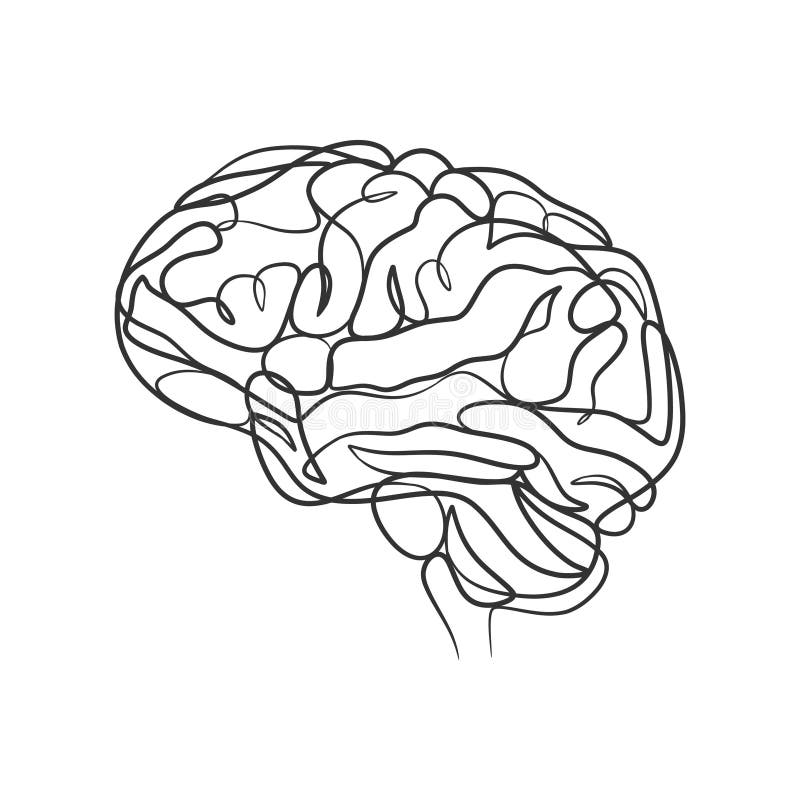 Continuous Line Drawing of a Human Brain Stock Vector - Illustration of ...
