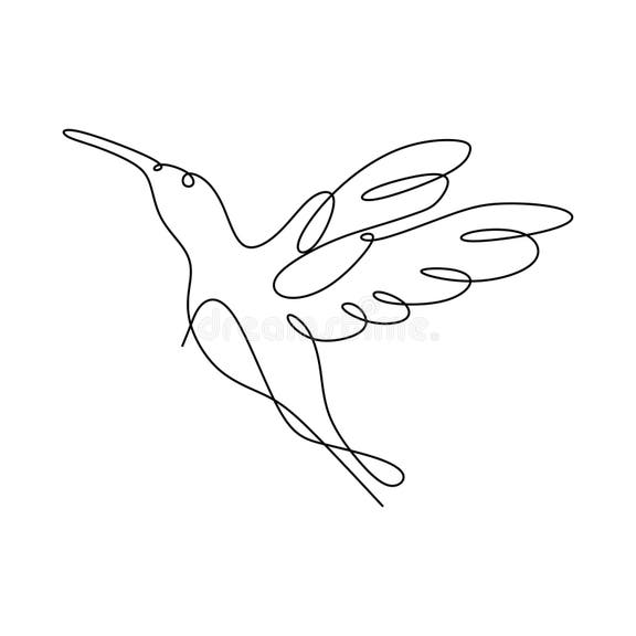 Continuous Line Drawing Hummingbird Stock Illustrations 269