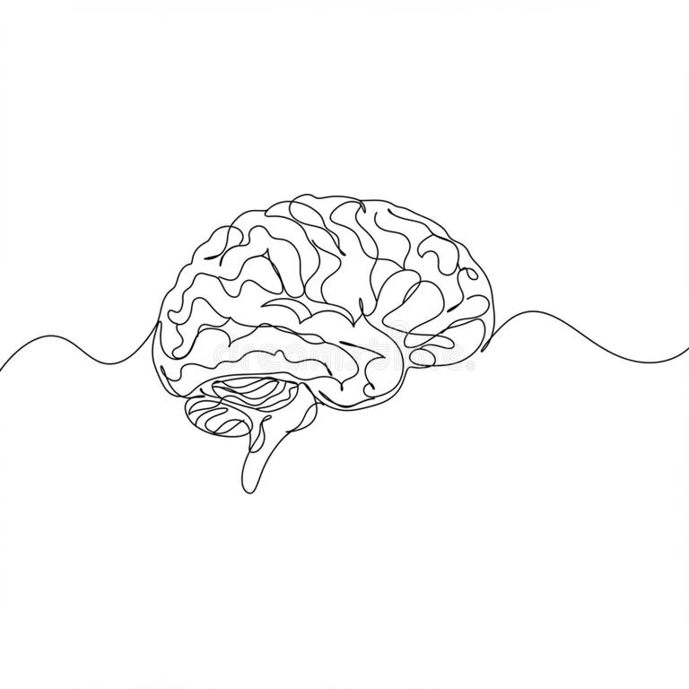 Continuous Line Drawing Illustrating a Human Brain. the Outline ...
