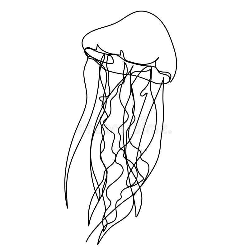 Continuous Line Drawing Jellyfish Sketch, Vector Stock Vector ...