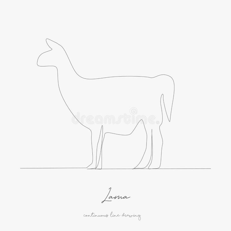 Lama Concept. Vector Composition In Doodle Style. Stock Vector ...