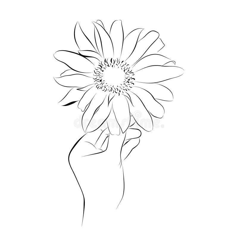 Continuous Line Drawing. Line Art Flower in Hand Vector Stock Vector ... Continuous Line Drawing. Line Art Flower in Hand Vector Stock Vector ...
