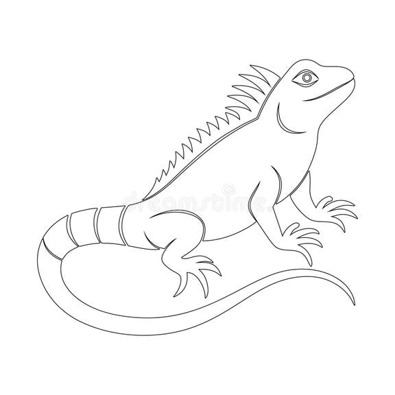 Continuous Line Drawing Lizard - Minimalist Outline Vector Art Stock ...