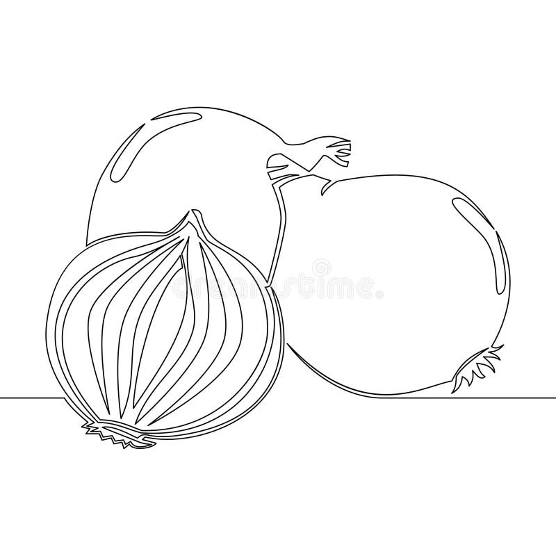 Onion in Continuous Line Art Drawing Style. Onion Whole Bulb and Leaves ...
