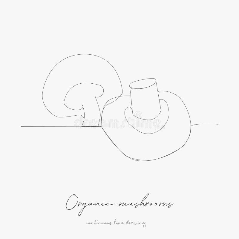 Continuous Line Drawing. Organic Mushrooms. Simple Vector Illustration ...