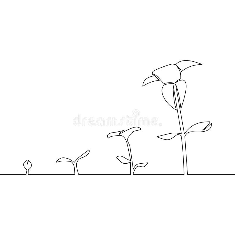 Phase of Plant Growing Continuous One Line Drawing Minimalist Vector ...