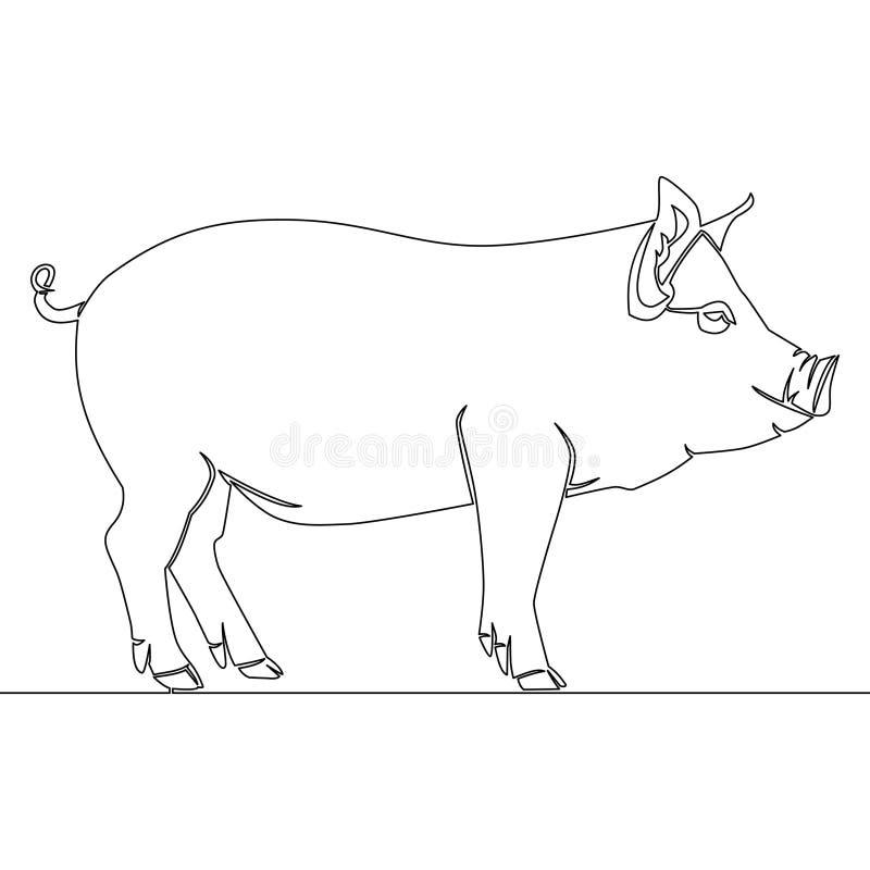 Continuous Line Drawing Pig Farm Animal Icon Vector Illustration ...