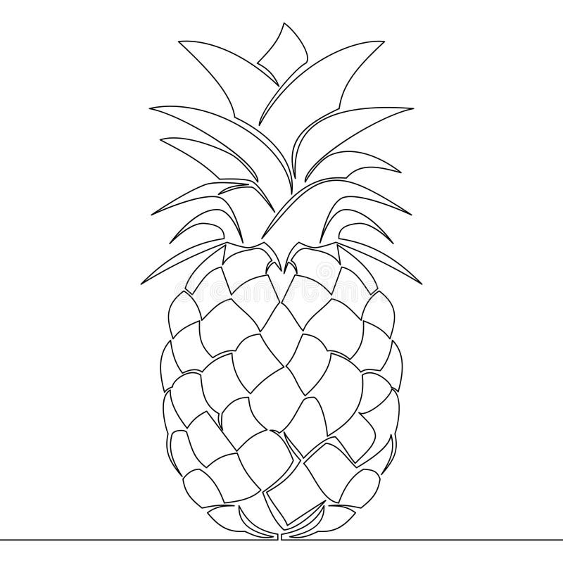 Continuous Line Drawing Pineapple Tropical Fruit Icon Vector ...
