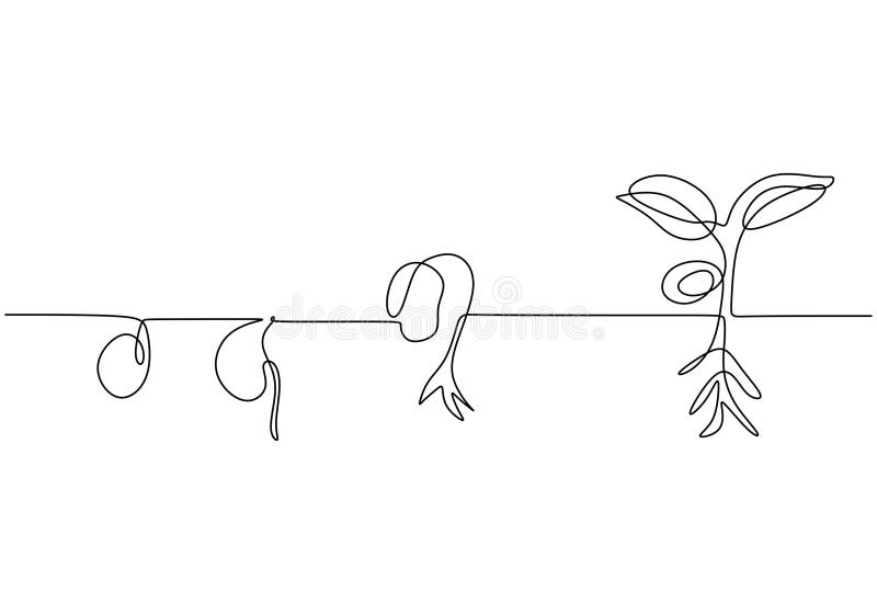 Continuous Line Drawing of Plant Growth Stages. Single One Hand Drawn ...