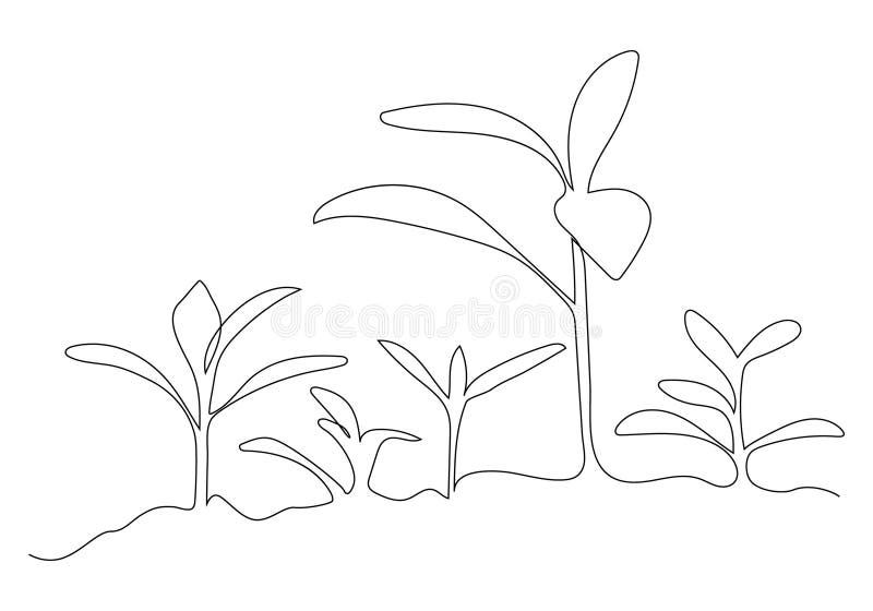 Continuous Line Drawing of a Plant. Stock Vector - Illustration of text ...