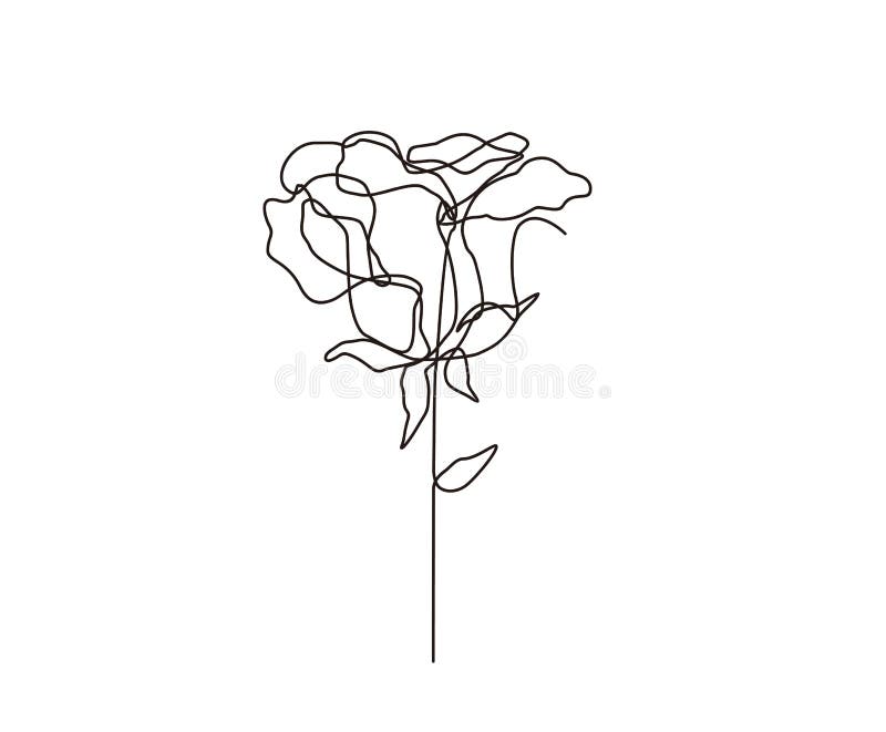Continuous Line Drawing of Rose Flower. Abstract Single Rose Art Design ...