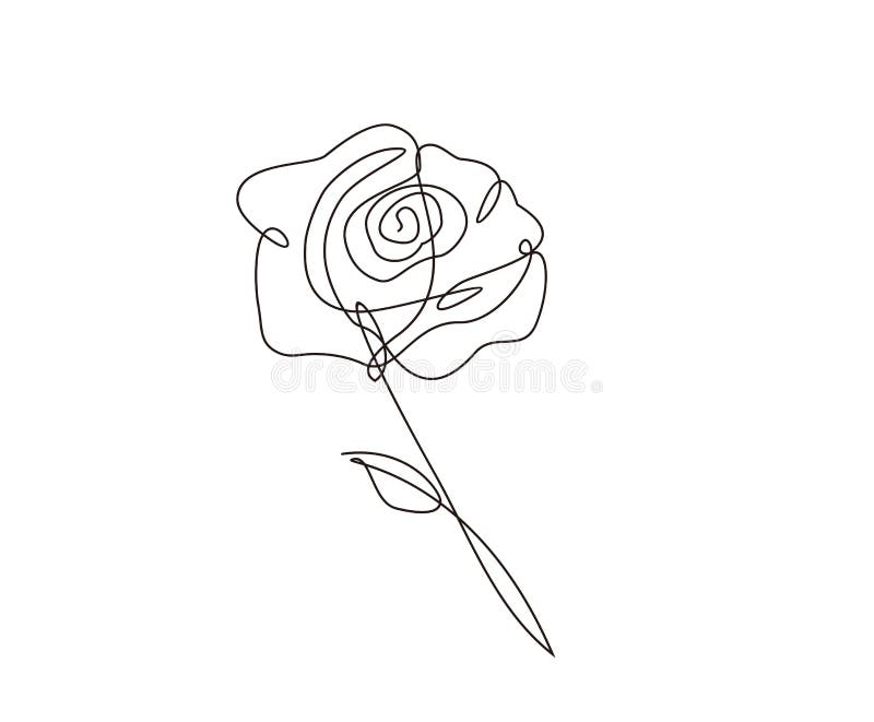 Continuous Line Drawing of Rose Flower. Minimalist Rose Vector Design ...