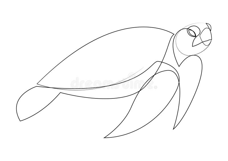 Sea Turtle Line Drawing Stock Illustrations – 2,764 Sea Turtle Line ...