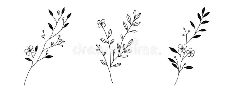 Continuous Line Drawing of Set of Plants. Leaves, Branch, One Line ...
