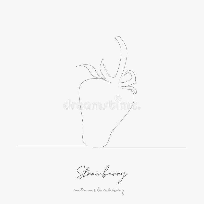 Continuous Line Drawing. Strawberry. Simple Vector Illustration ...