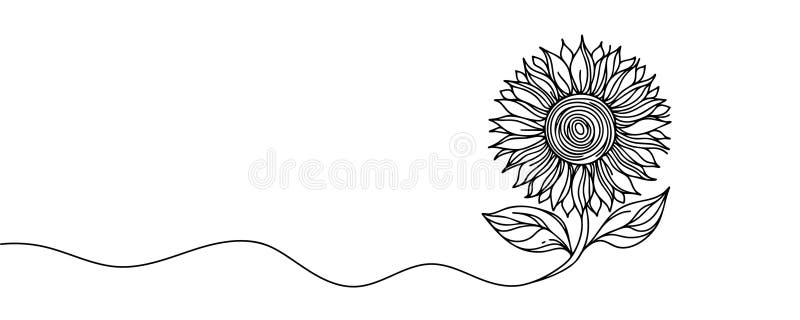 Continuous Line Drawing of Sunflower. Vector Illustration with One Line ...