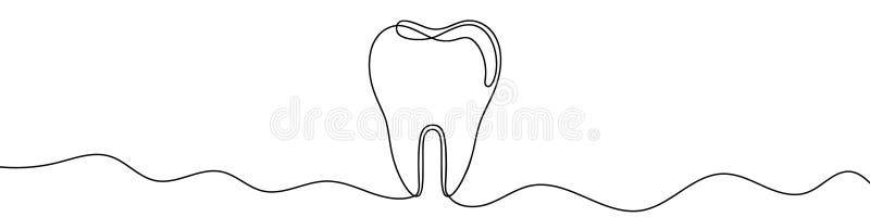 Continuous Line Drawing a Tooth Contour on White Background Stock ...