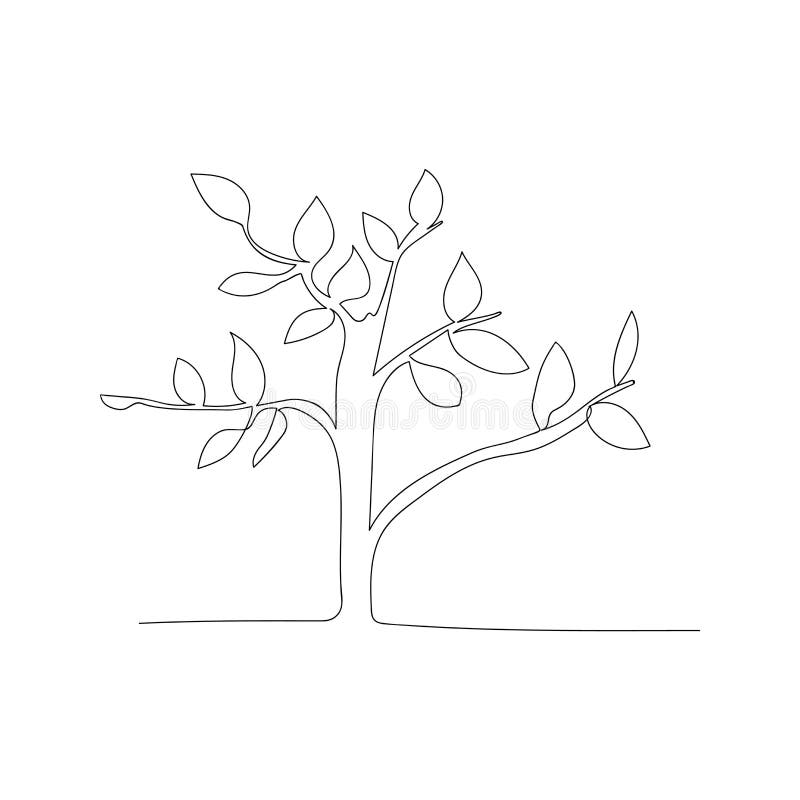 Continuous Line Drawing of Tree. Isolated Sketch Drawing of Tree Line ...