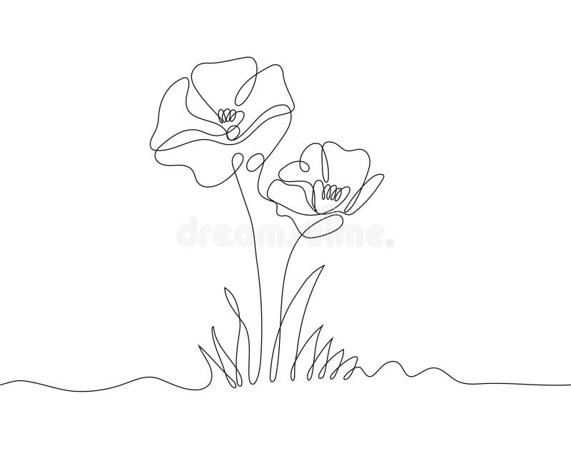 Continuous Line Drawing of Two Poppies Growing in Grass, Symbolizing ...