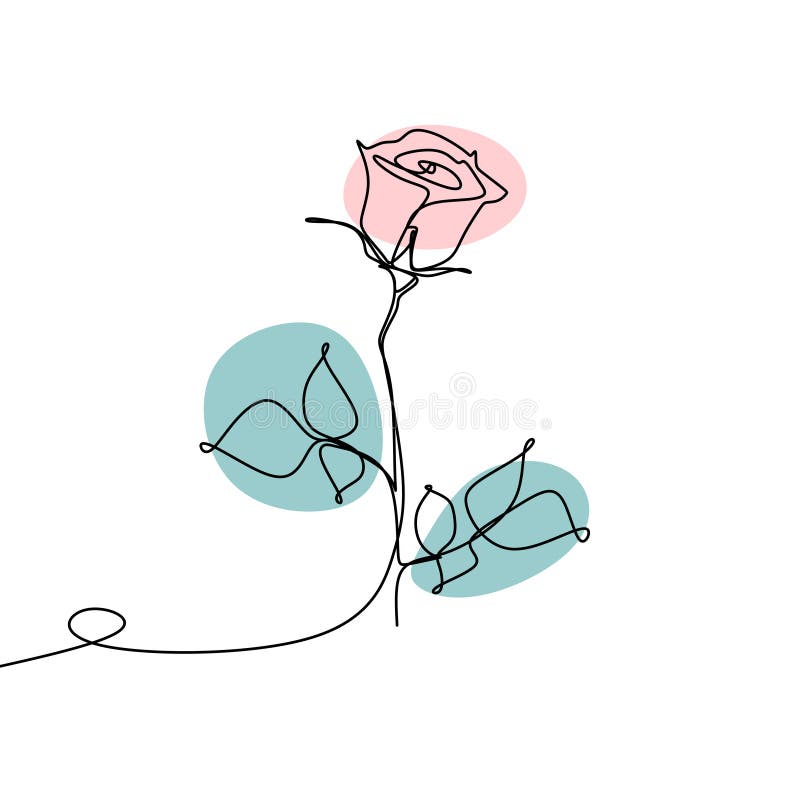 Continuous Line Drawing Vector of Rose Flower Romantic Symbol Minimal ...