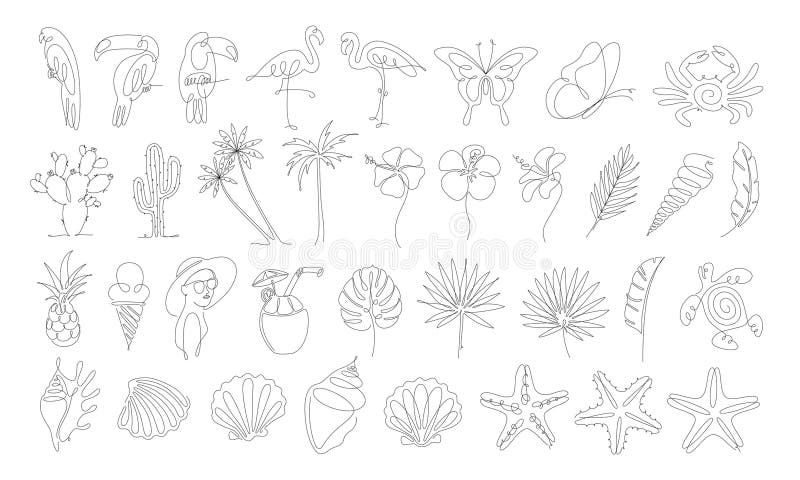 Continuous Line Drawing Vector Set of Summer Elements. Single Line Art ...