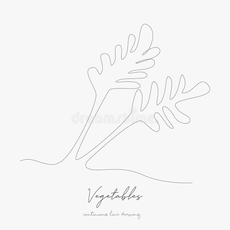 Vegetables Continuous Line Drawing Stock Illustrations – 522 Vegetables ...