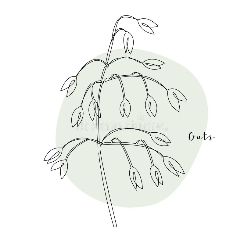 Continuous Line Oats, Grain Crop. Vector Line Art. Perfect for Logo ...