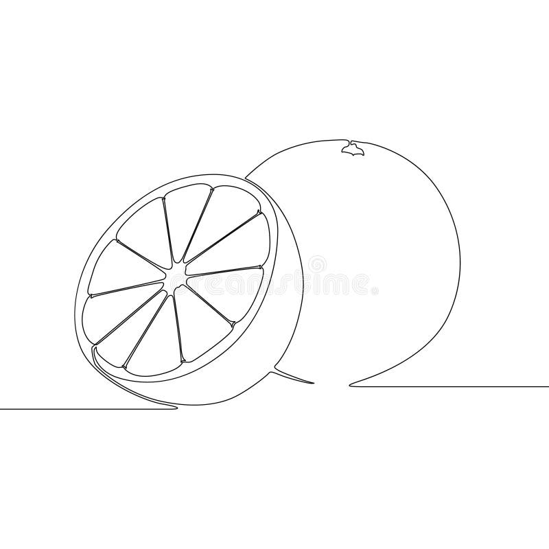 Orange Fruit Line Drawing