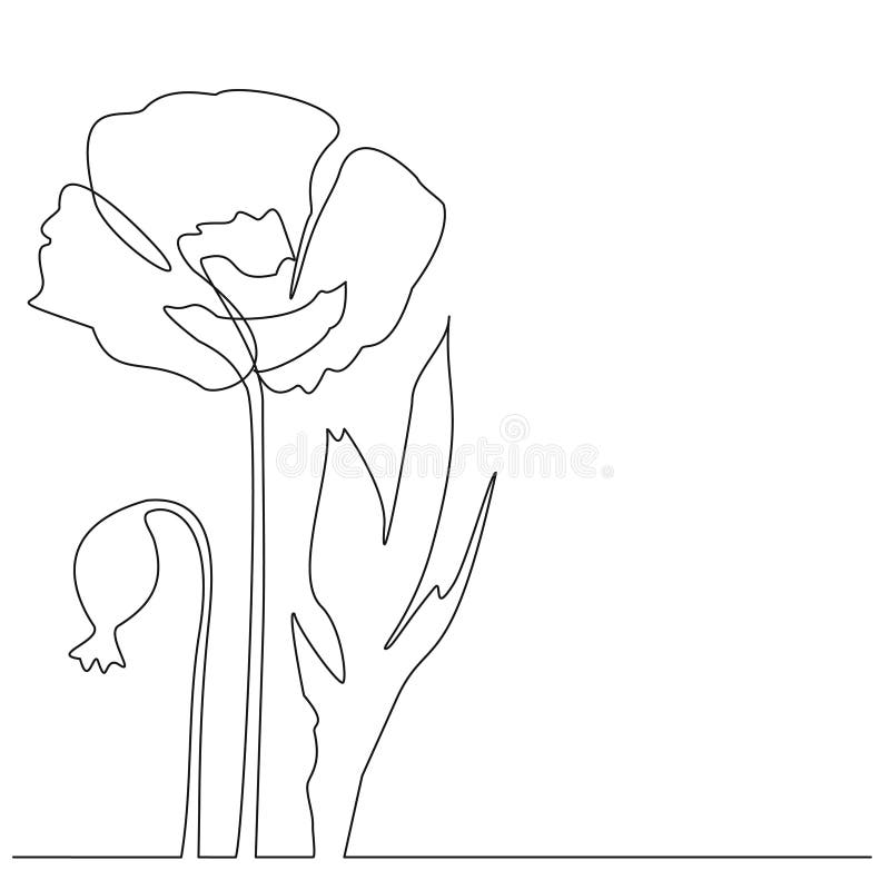 Line Art-Poppy Flower Minimalist Contour Drawing. One Line Artwork ...