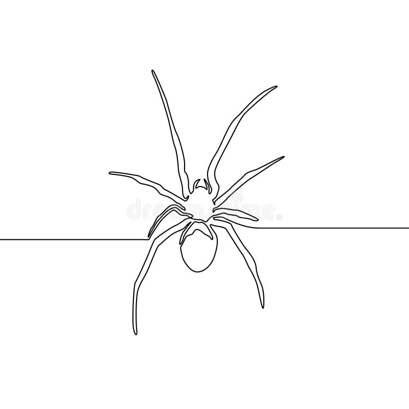 Spider Line Drawing Stock Illustrations – 12,087 Spider Line Drawing ...