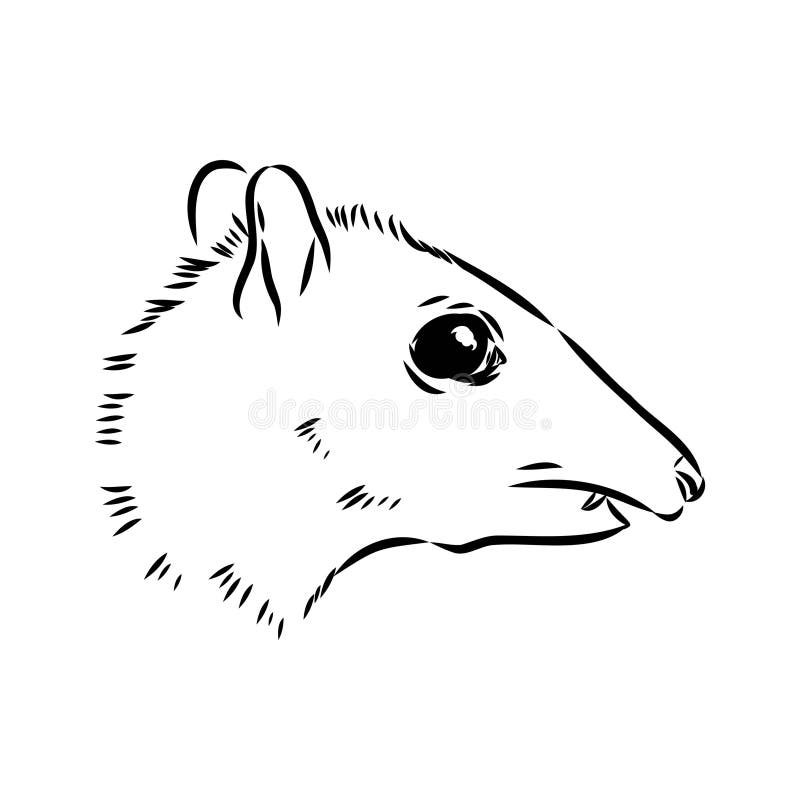 Continuous Lines Mouse Deer Logo Symbol Vector Icon Illustration ...